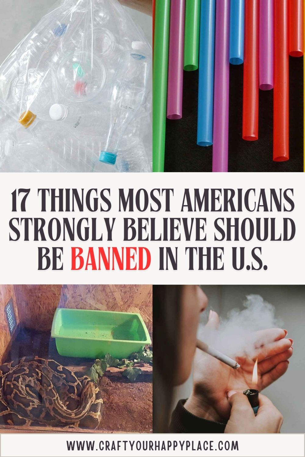 17 Things Most Americans Strongly Believe Should Be Banned in the US
