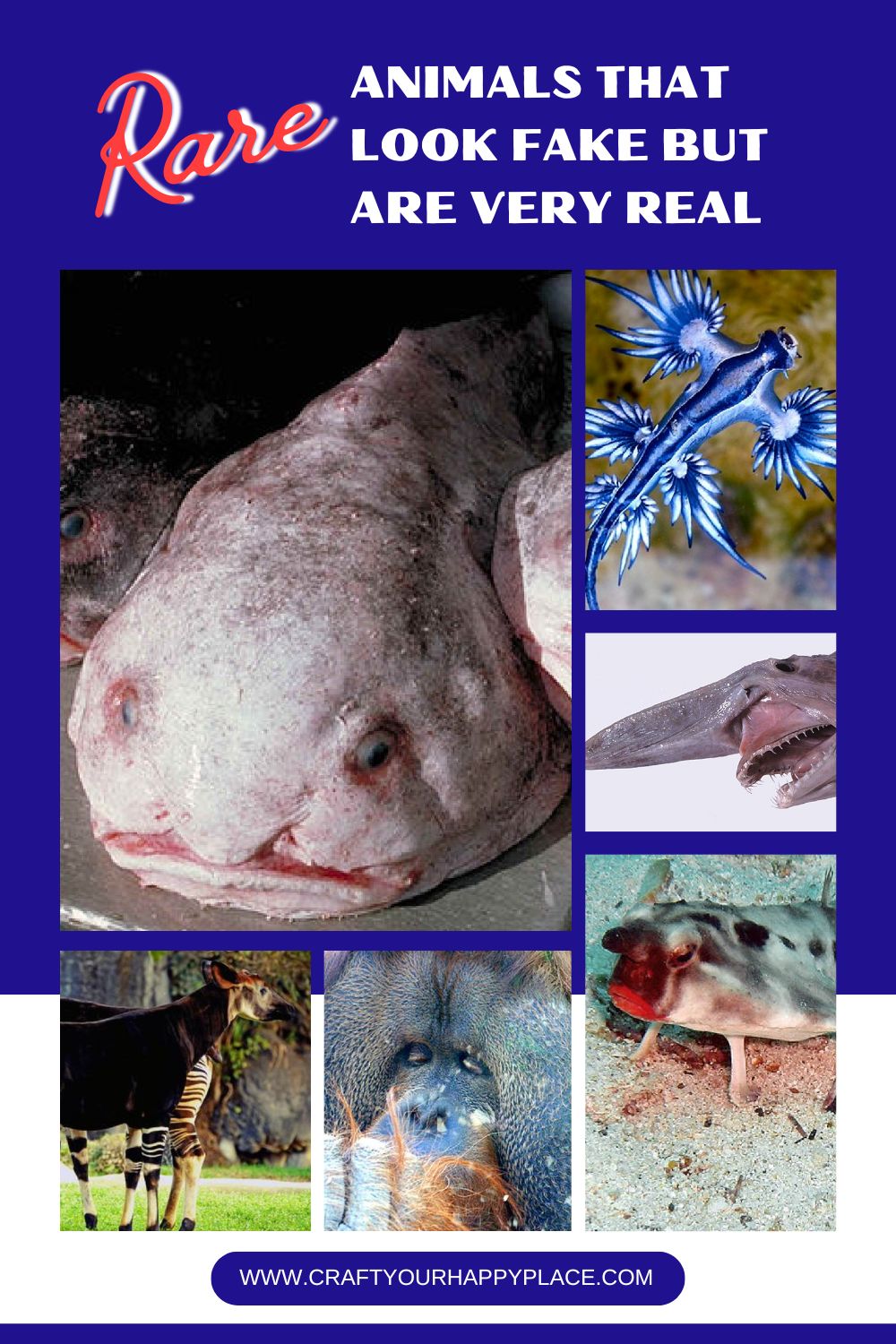 Rare Animals That Look Fake but Are Very Real - Craft Your Happy Place