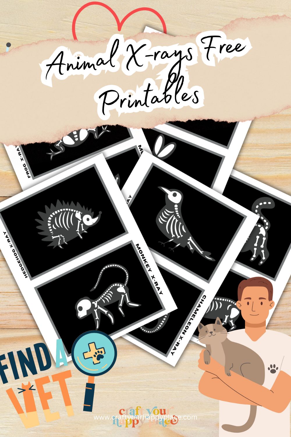 Veterinary Clinic Dramatic Pretend Play (44 Page Free Printable ...