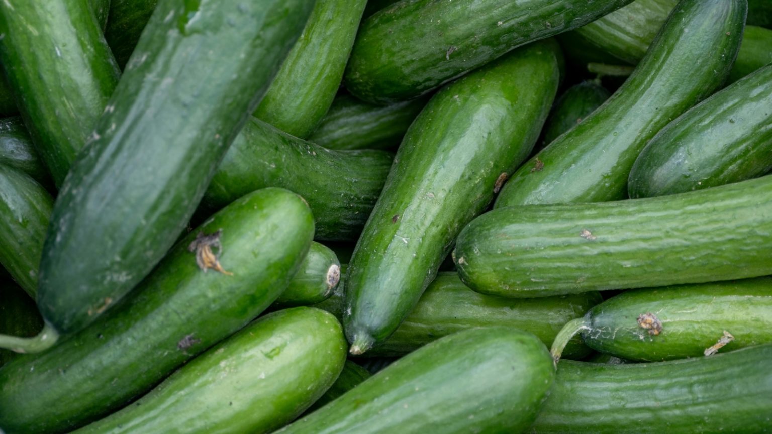 13 Surprising Vegetables You Can Grow Without Soil - Craft Your Happy Place