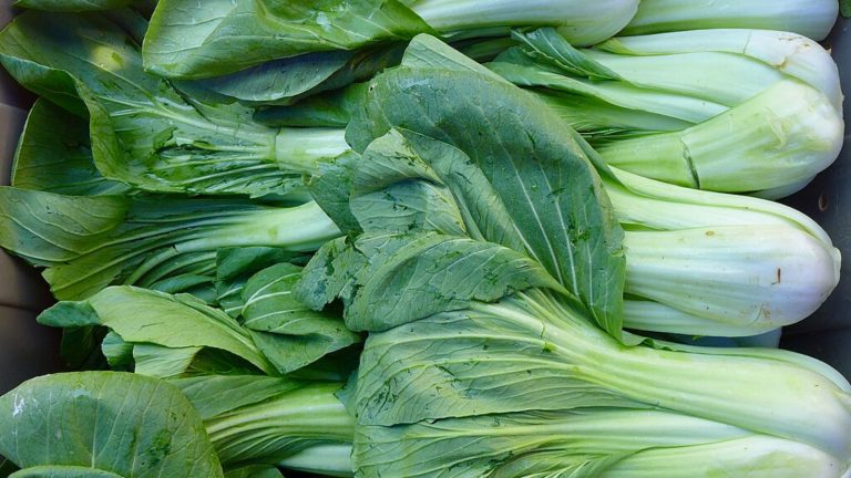 13 Surprising Vegetables You Can Grow Without Soil - Craft Your Happy Place