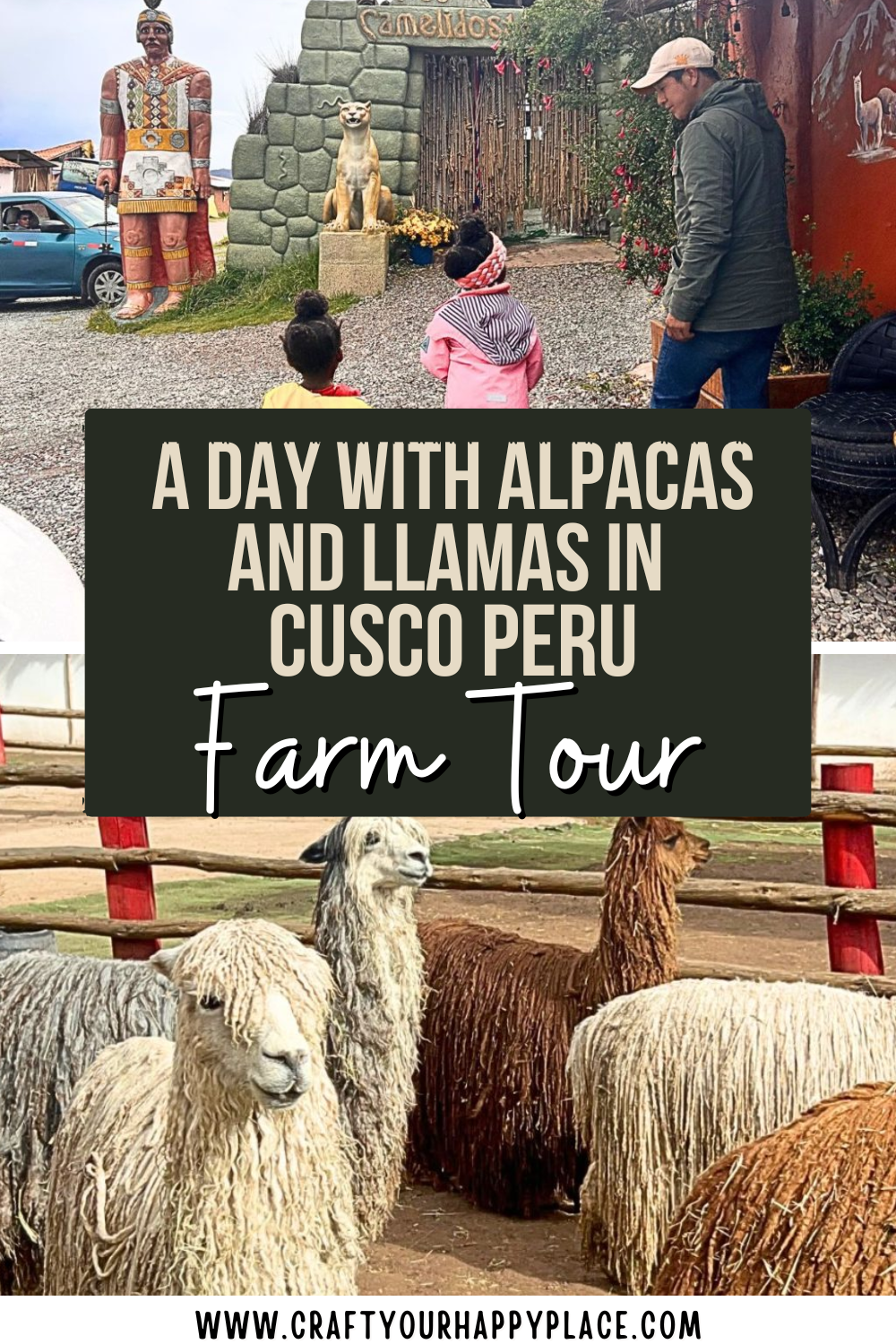 A Day With Alpacas and Llamas in Cusco Peru- Farm Tour - Craft Your ...
