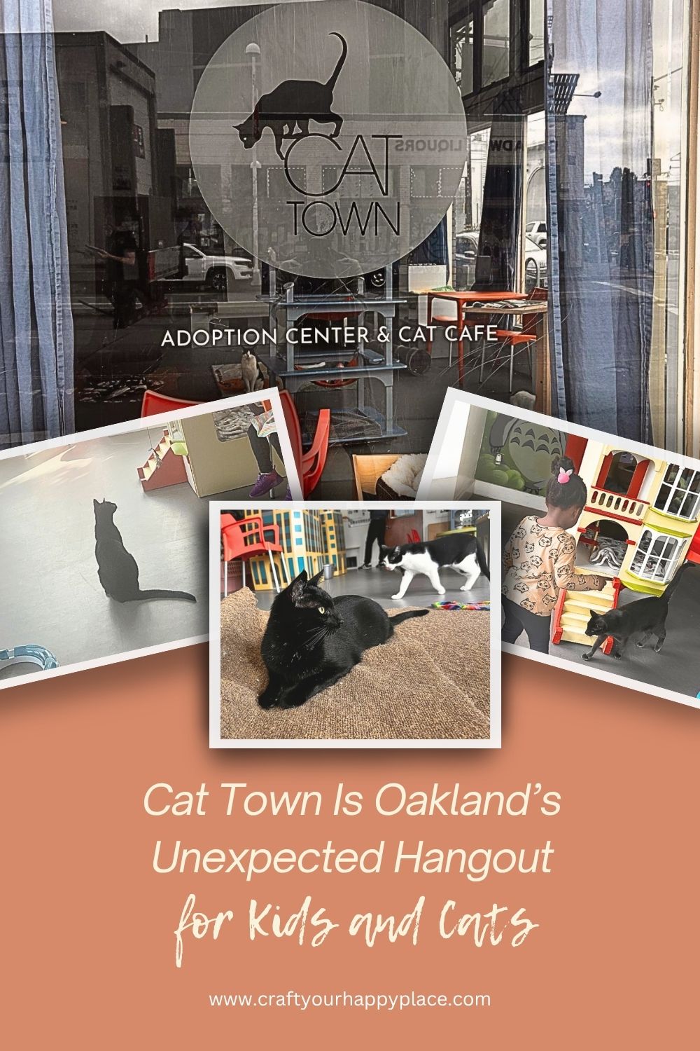 Cat Town Is Oakland’s Unexpected Hangout for Kids and Cats - Craft Your ...