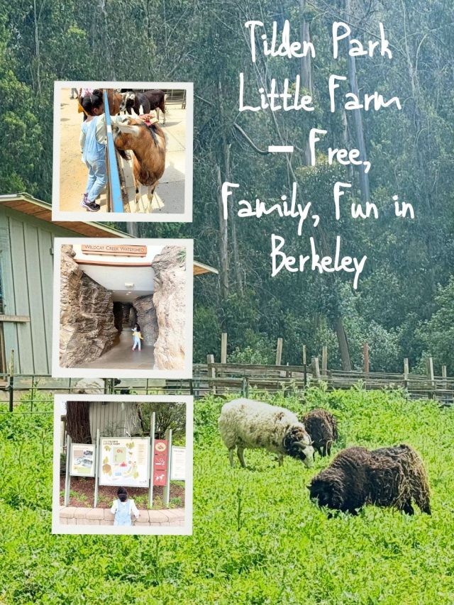 Tilden Park Little Farm – Free, Family, Fun in Berkeley - Craft Your ...